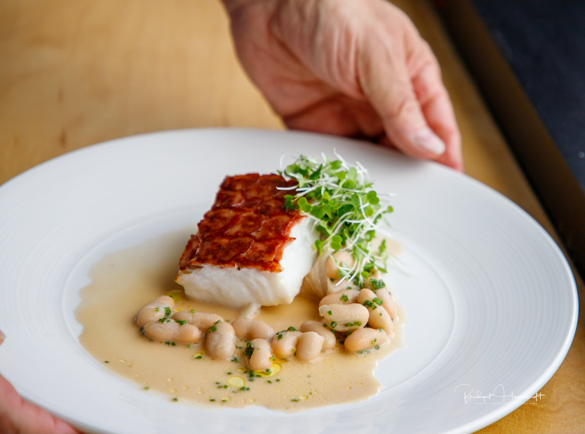 Devour! Studios: Mastering Seafood Cookery | Canada Culinary