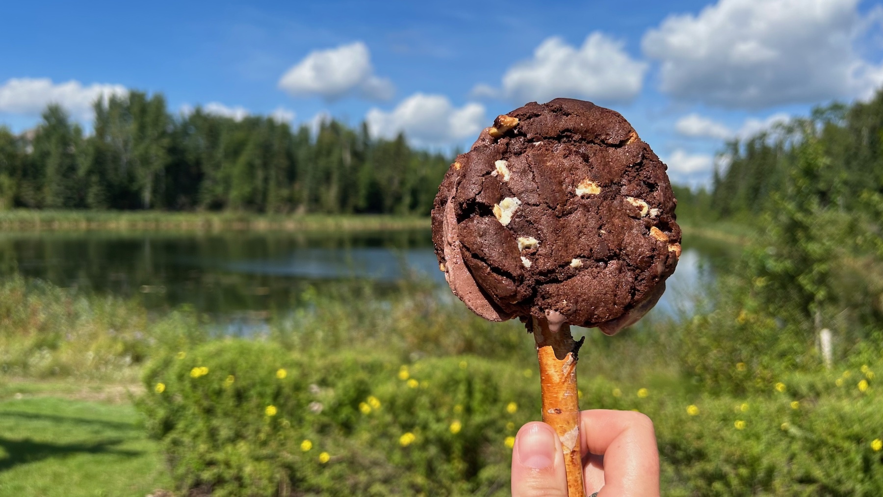 Field to Shield: A Culinary Experience with Chef Jenni Lessard in ...