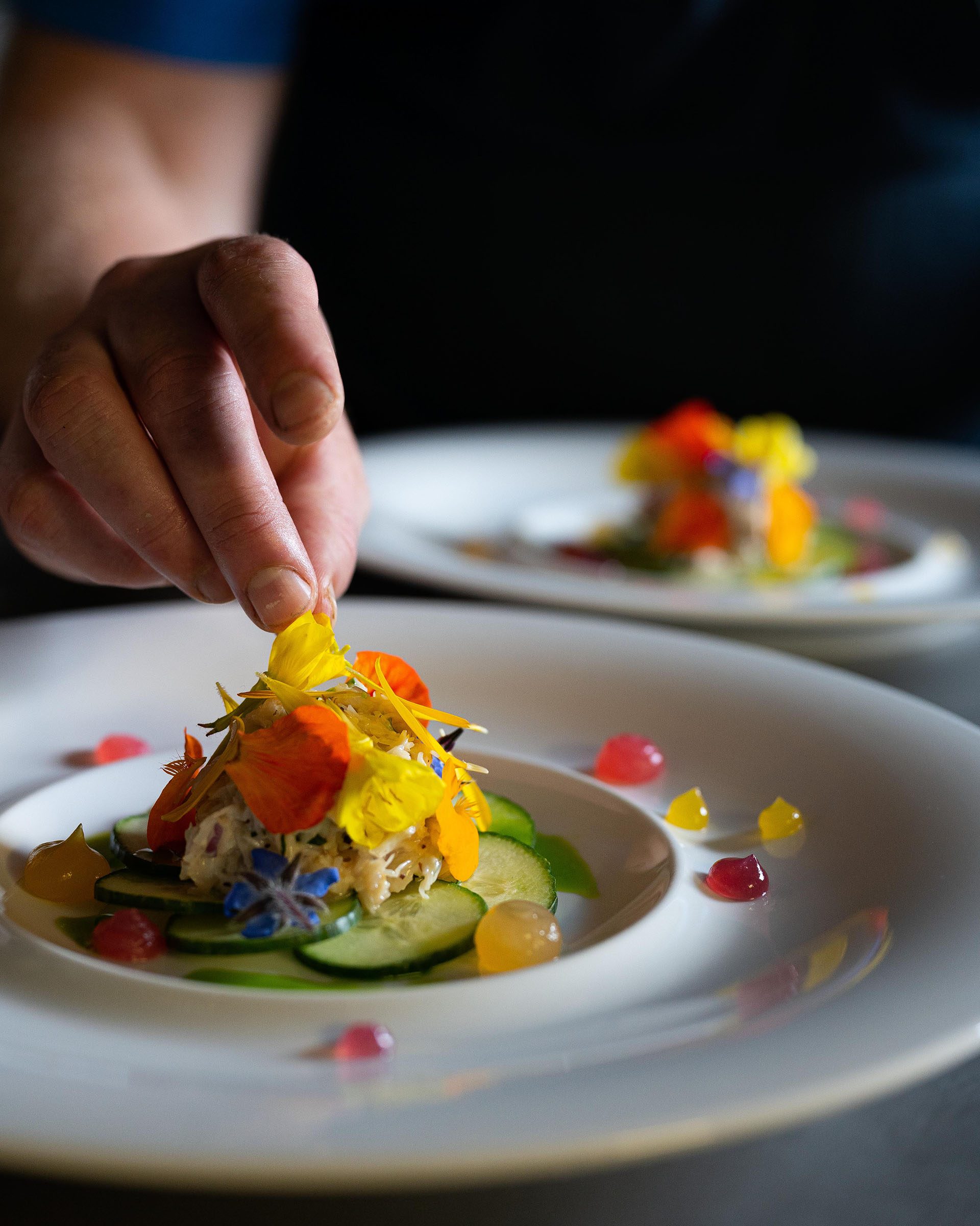 Discover the Taste of Nova Scotia mobile app! | Canada Culinary