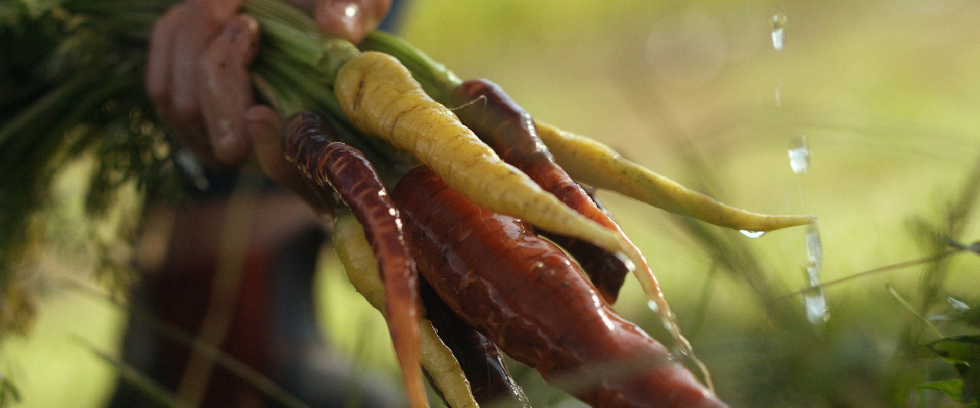Thompson Okanagan: Where The Food Tells The Story | Canada Culinary