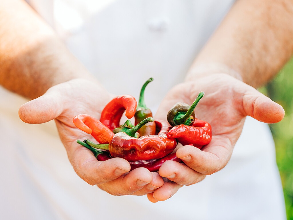 Saving Near-Extinct Foods Around the World | Canada Culinary