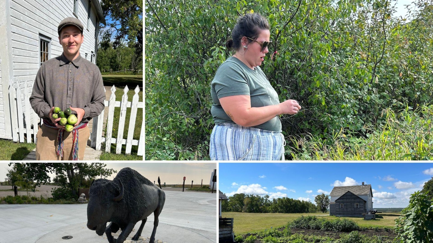 Field to Shield: A Culinary Experience with Chef Jenni Lessard in ...