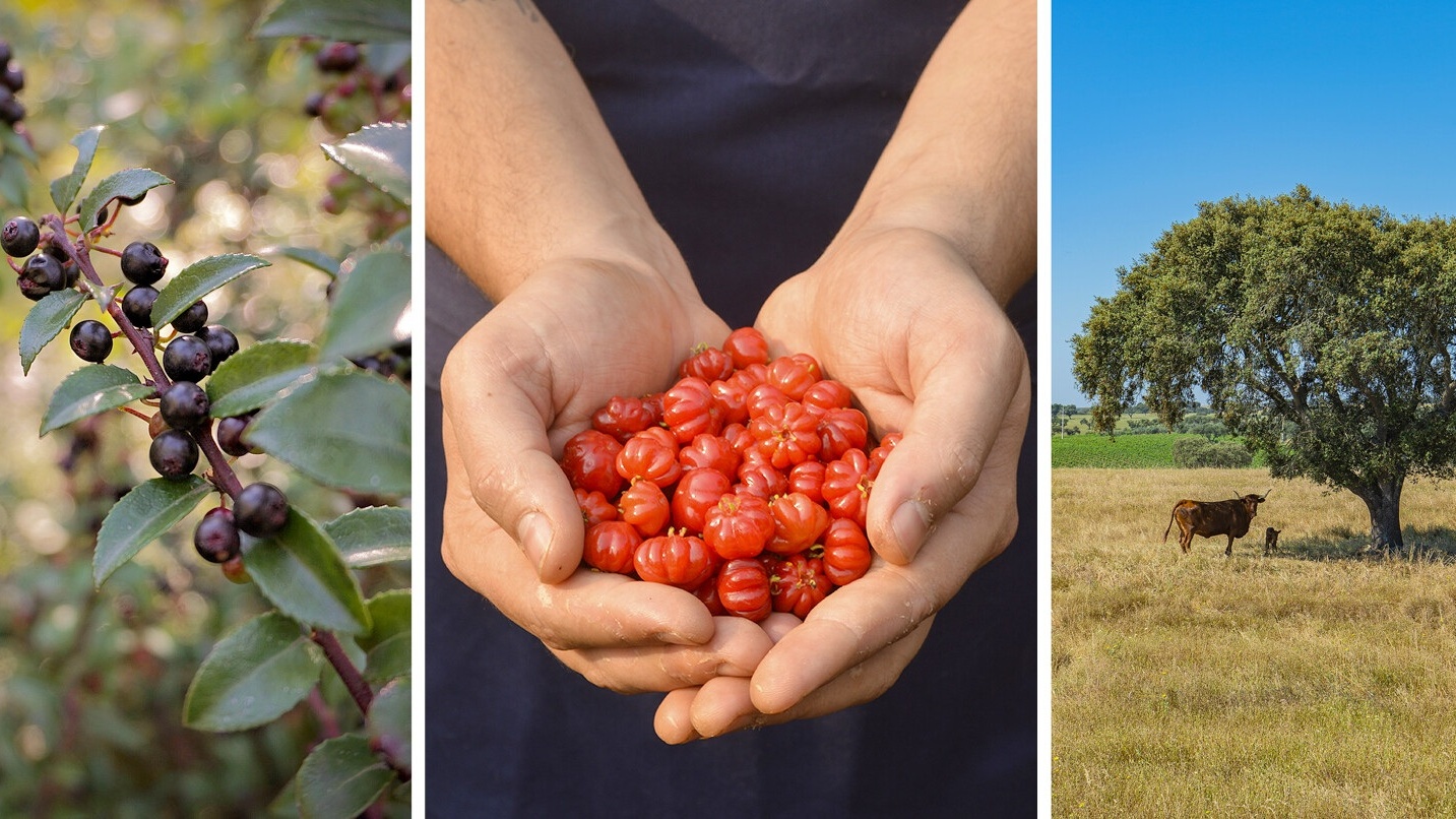 Saving Near-Extinct Foods Around the World | Canada Culinary